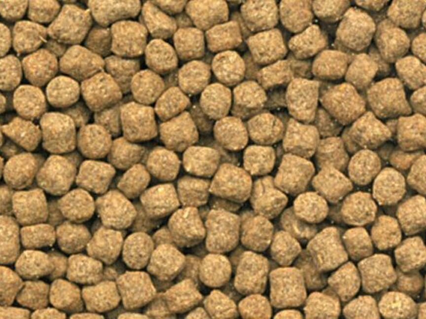 Корм для прудовой рыбы