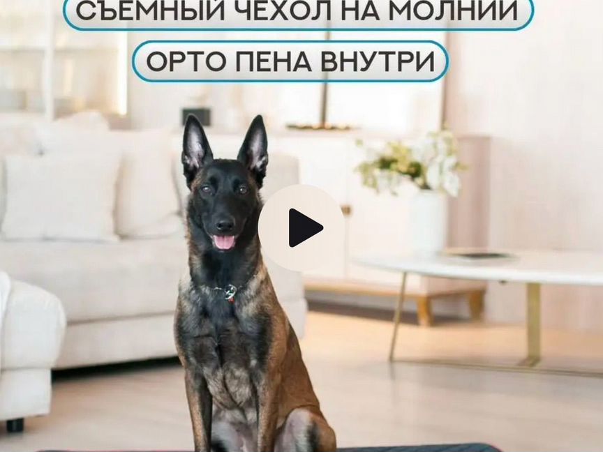 Лежанка для большой собаки Consul xl сер