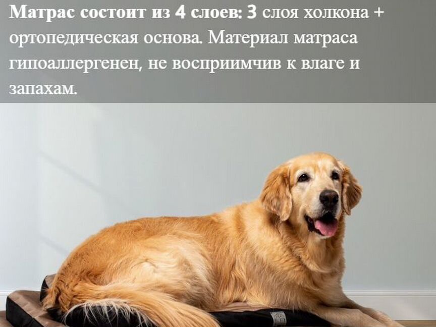 Лежанка матрас для собак