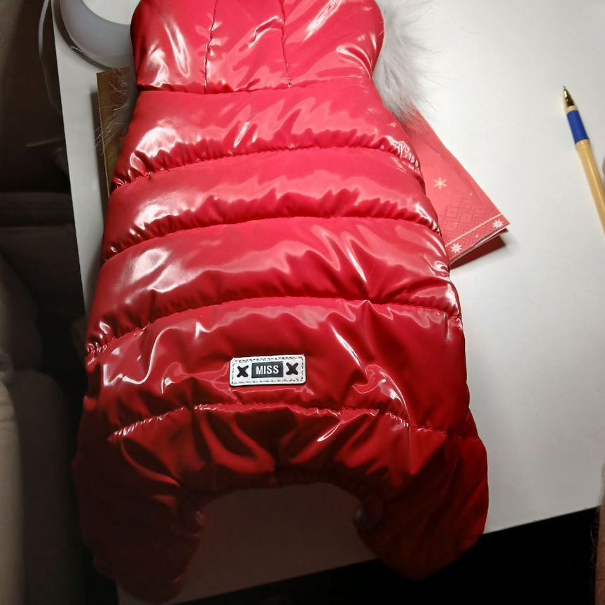 Зимний комбинезон для маленькой собачки