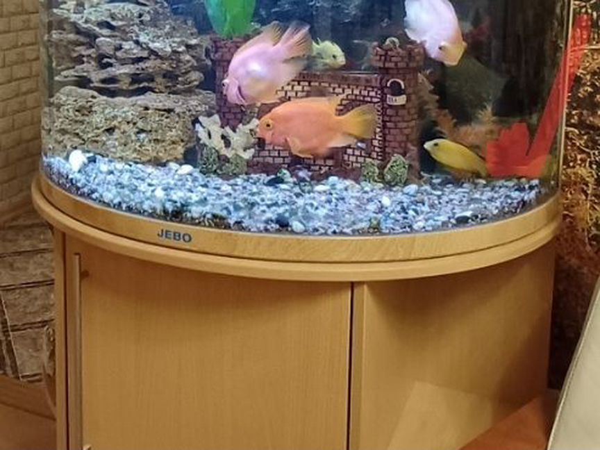 Аквариум с тумбой 169 литров