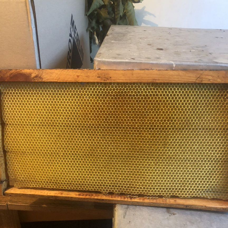 Суши рутовские