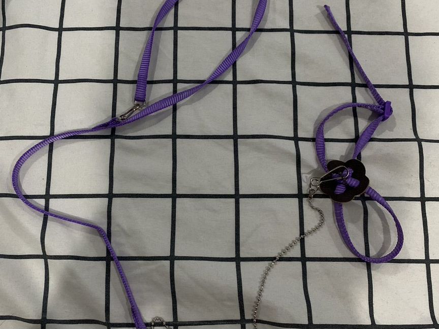 Поводок для крыс