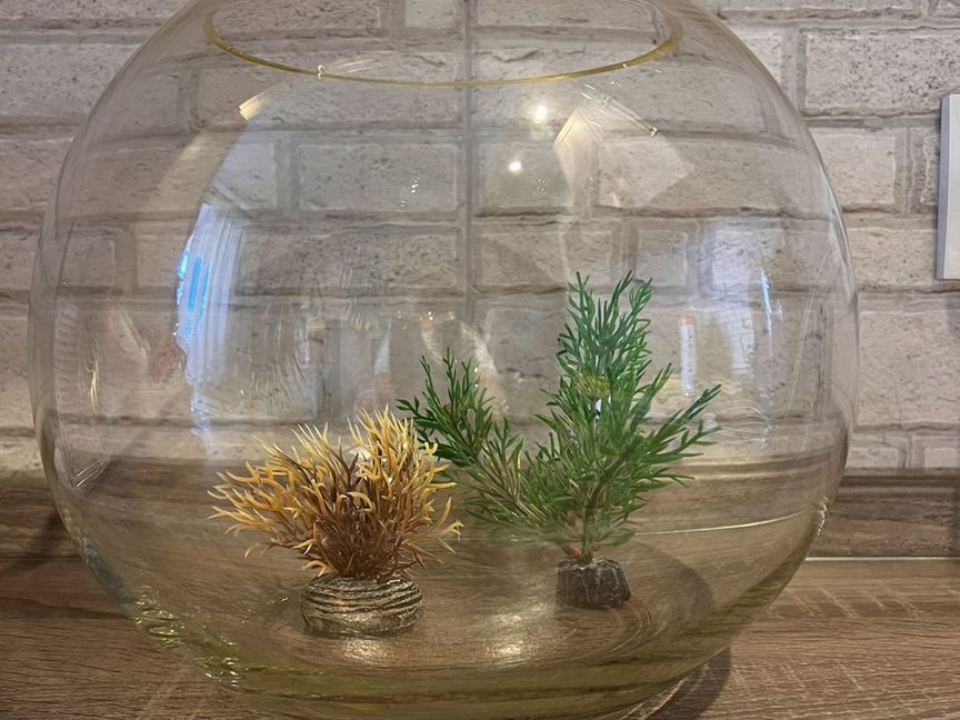 Аквариум круглый