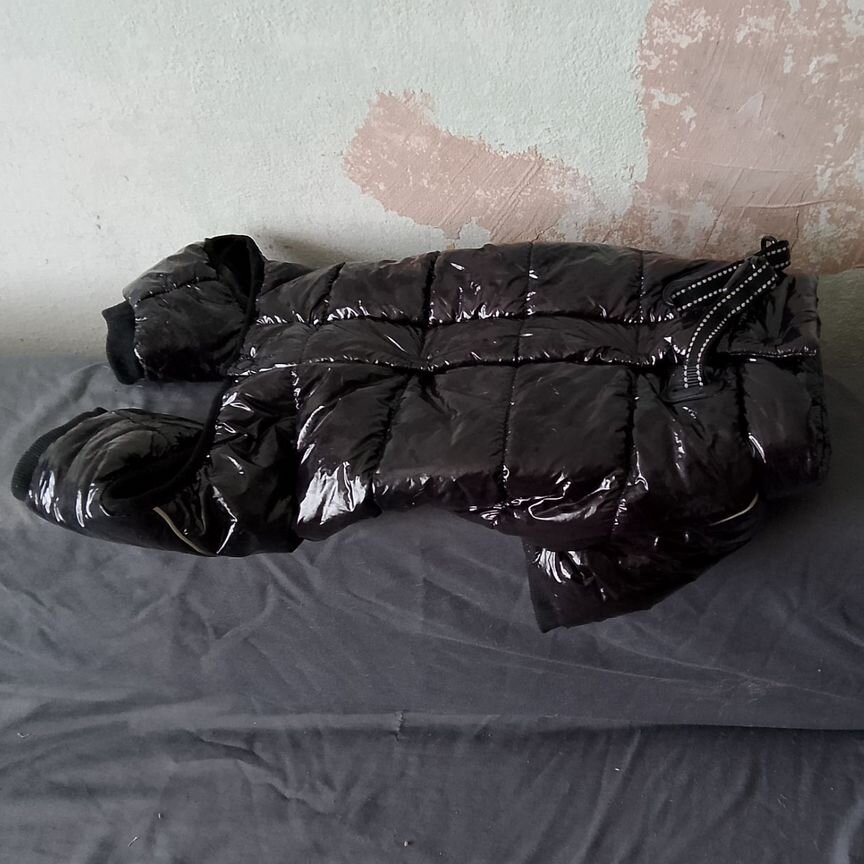 Продам костюм зимний для собаки среднего роста