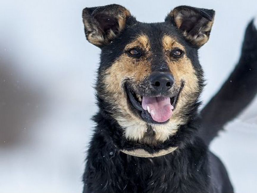 Вениамин, для своих просто Веник