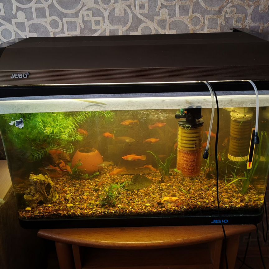 Аквариум джебо 140 литров