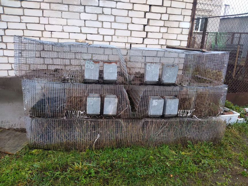 Клетка для кролика