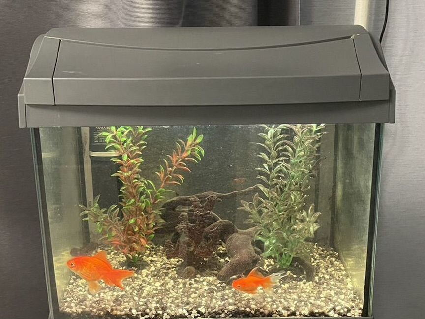 Аквариум с тумбой
