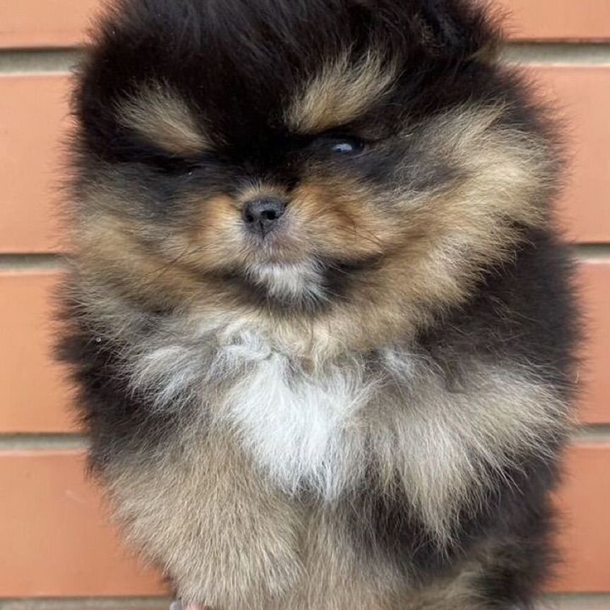 Нереально красивые пацаны