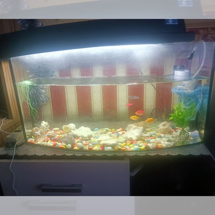 Аквариум с тумбой