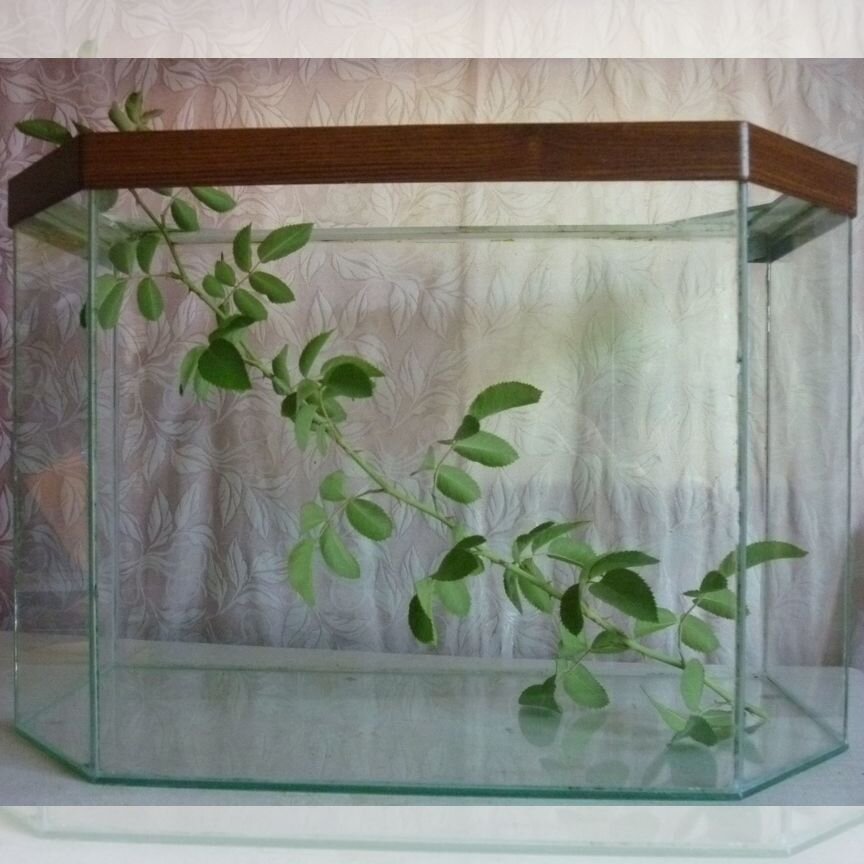 Террариум аквариум б/у