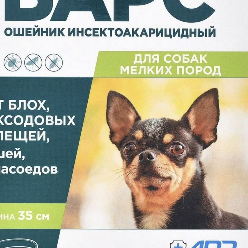 Ошейник инсектоакарицидный для собак мелких пород