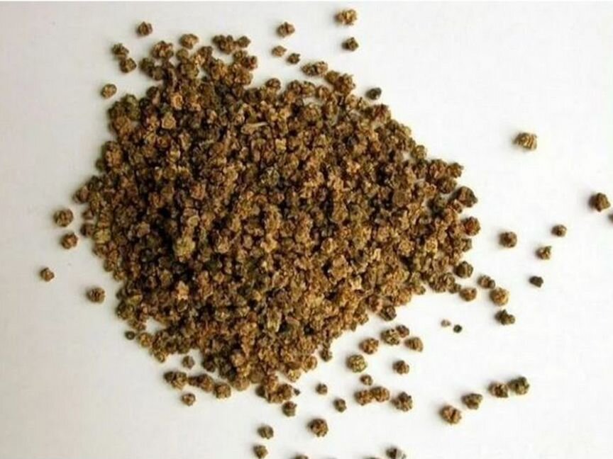 Свекла кормовая