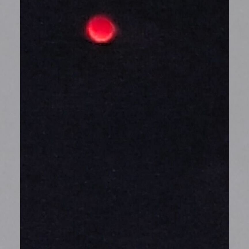 Куры несушки