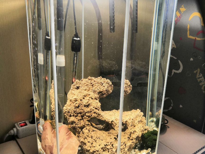 Аквариум восьмигранный