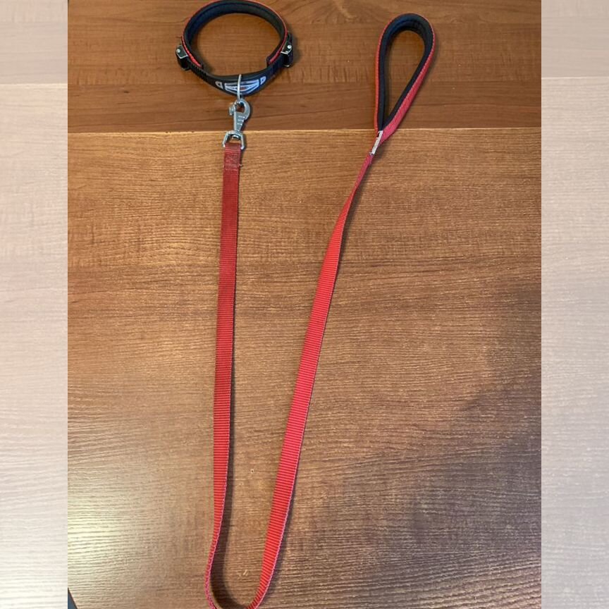 Поводок с ошейником Ferplast