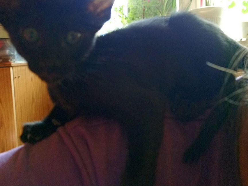 Ориентальная