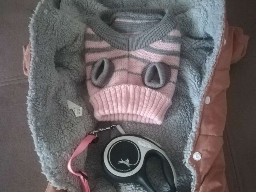 Вещи для кошек