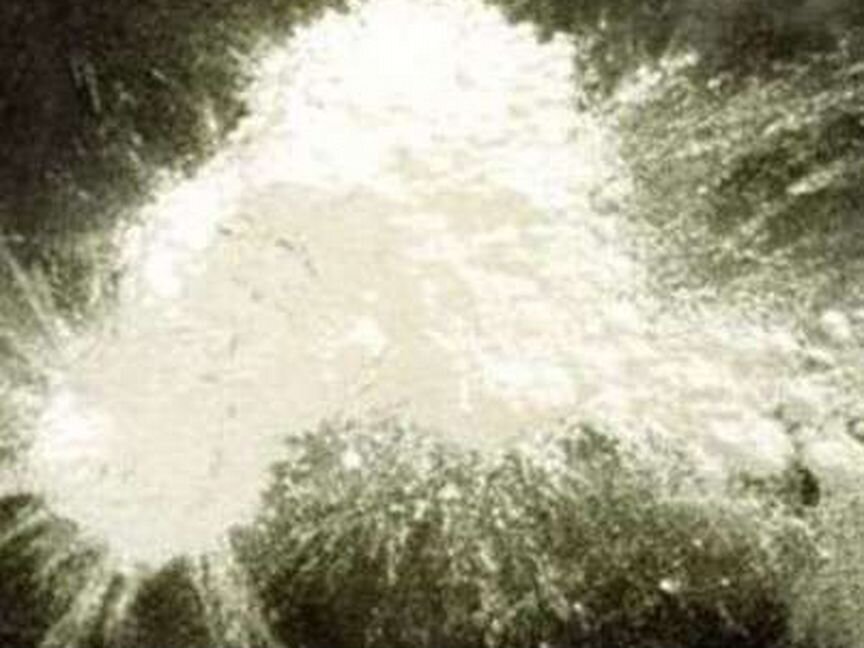 Мука известняковая для комбикормов