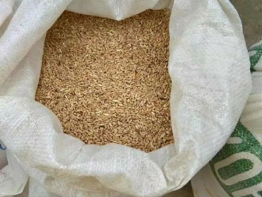 Пшеница и зерноотходы мешках по 40 кг