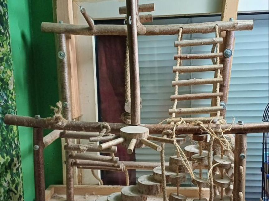 Стенд для попугаев