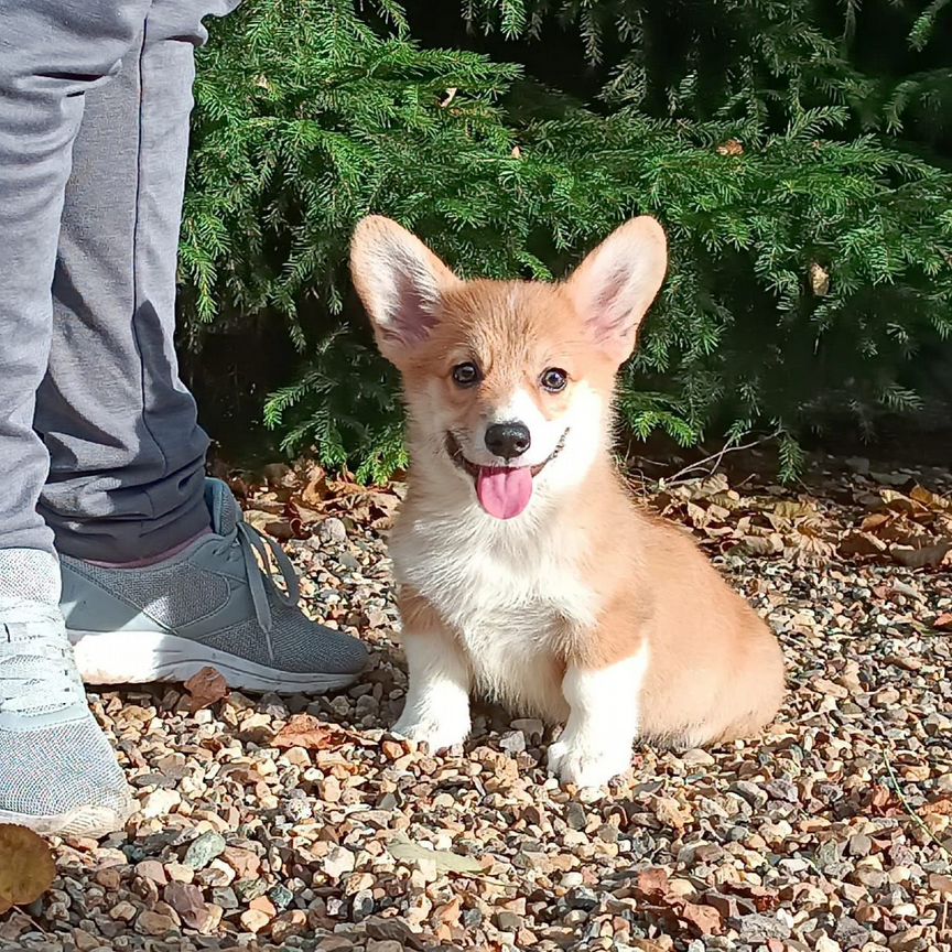 Дети чемпионы