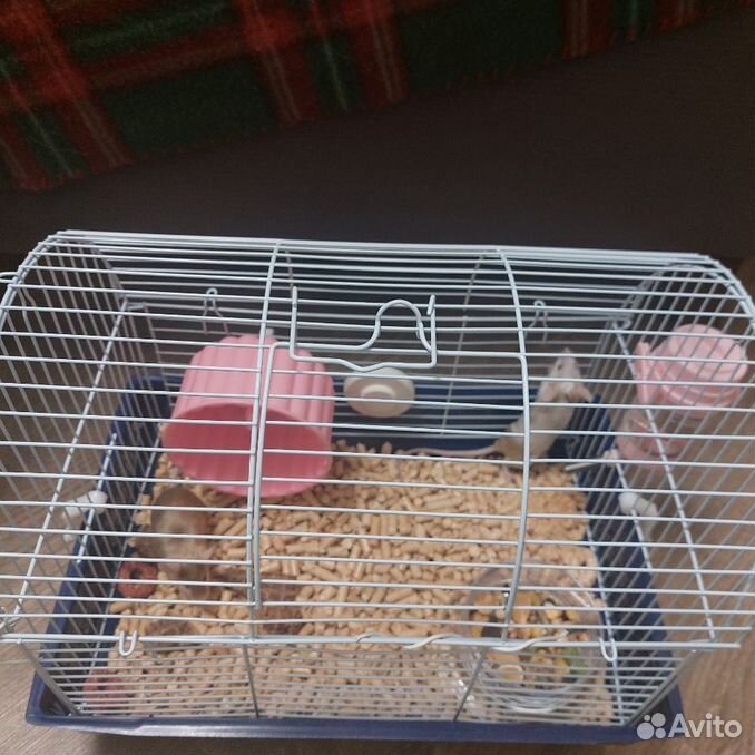 Мыши сатиновые с клеткой