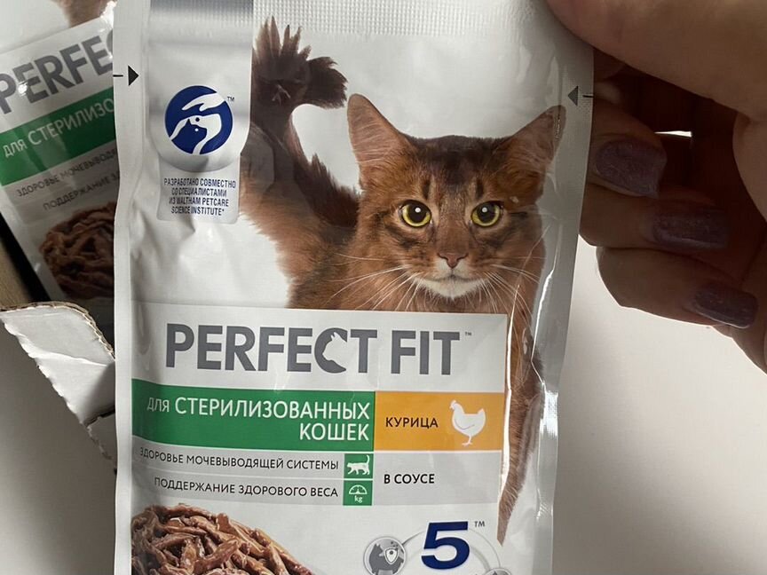 Корм для кошек