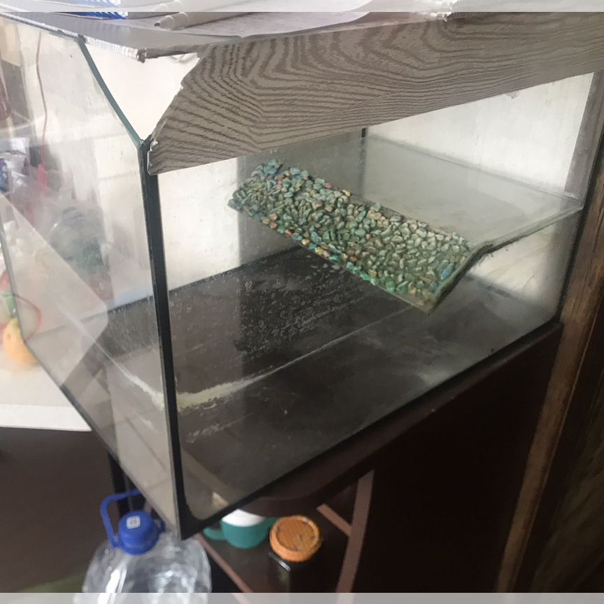 Аквариум для красноухой черепахи