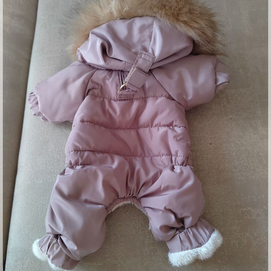 Одежда для собаки