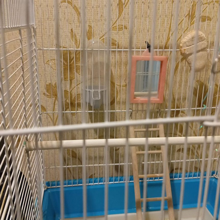 Клетка для попугая бу