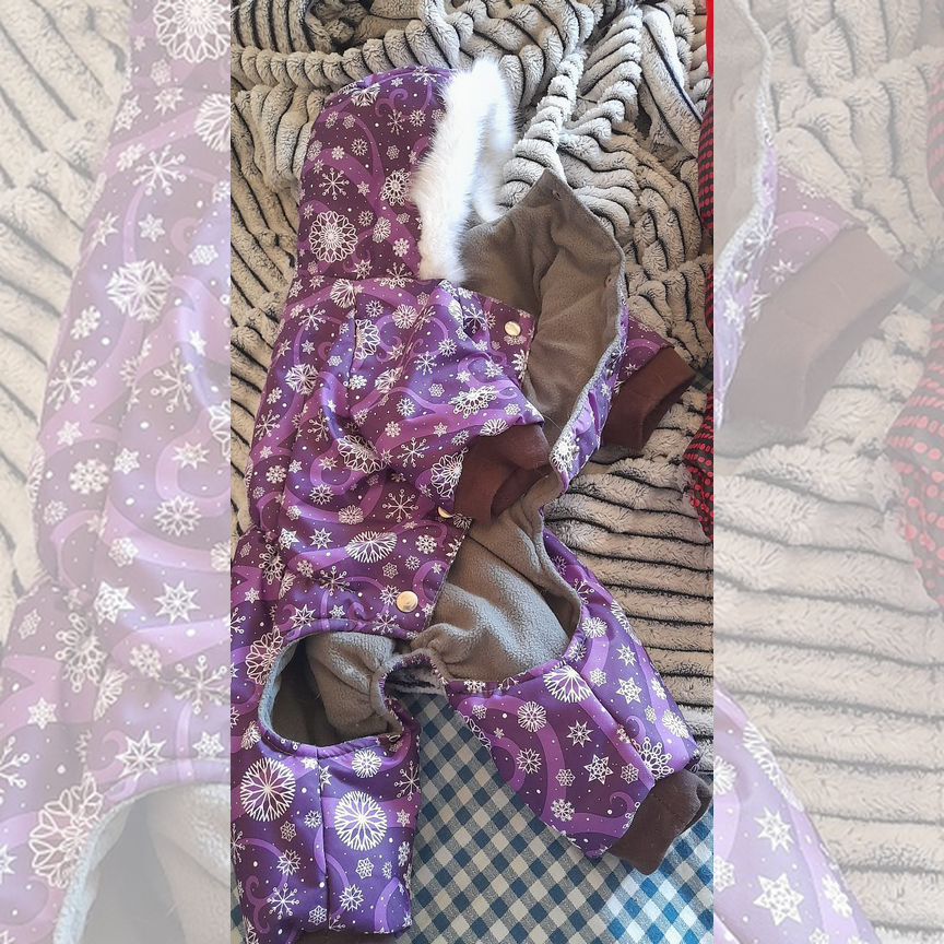 Одежда для собак мелких пород