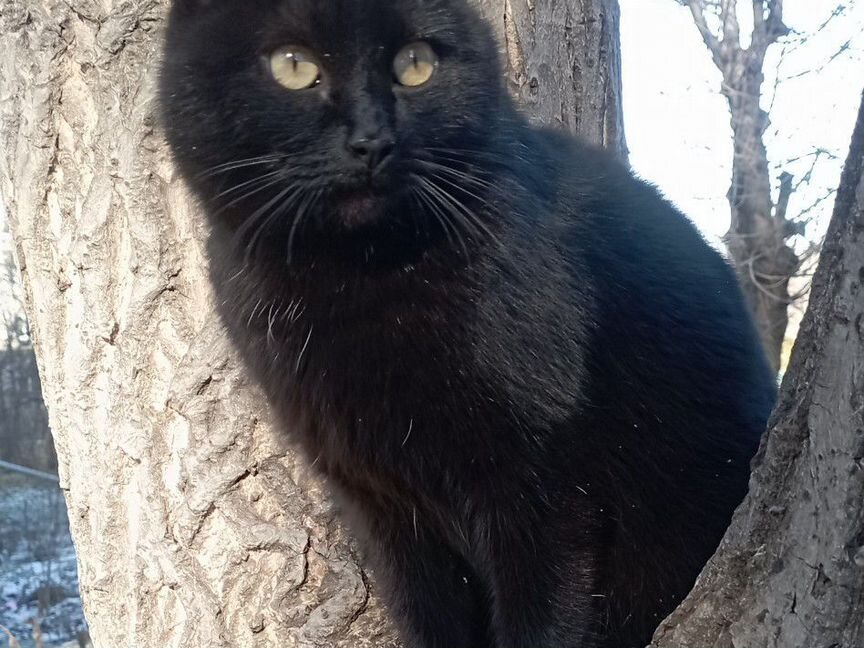 Не место такой красотке на улице