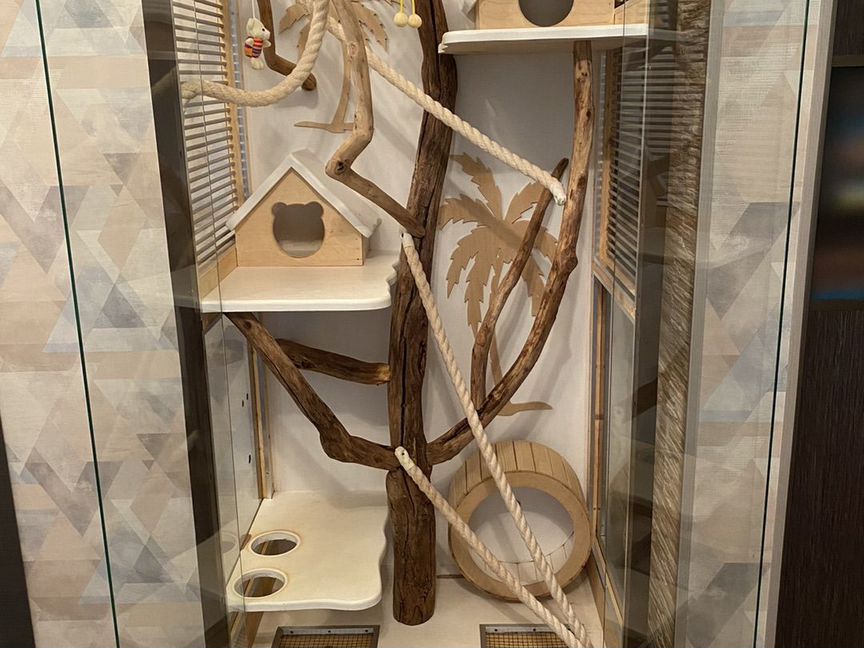 Витрина/вольер для белок, крыс, шиншилл, птиц