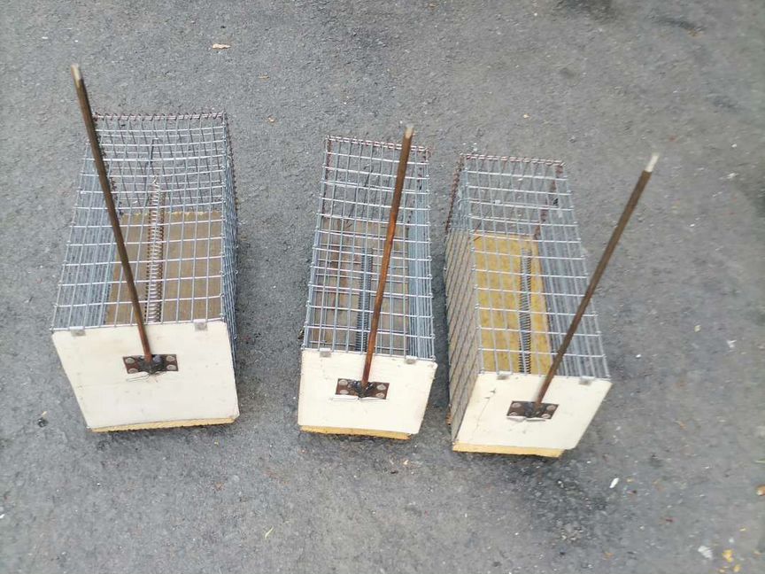 Хомяколовка крысоловка