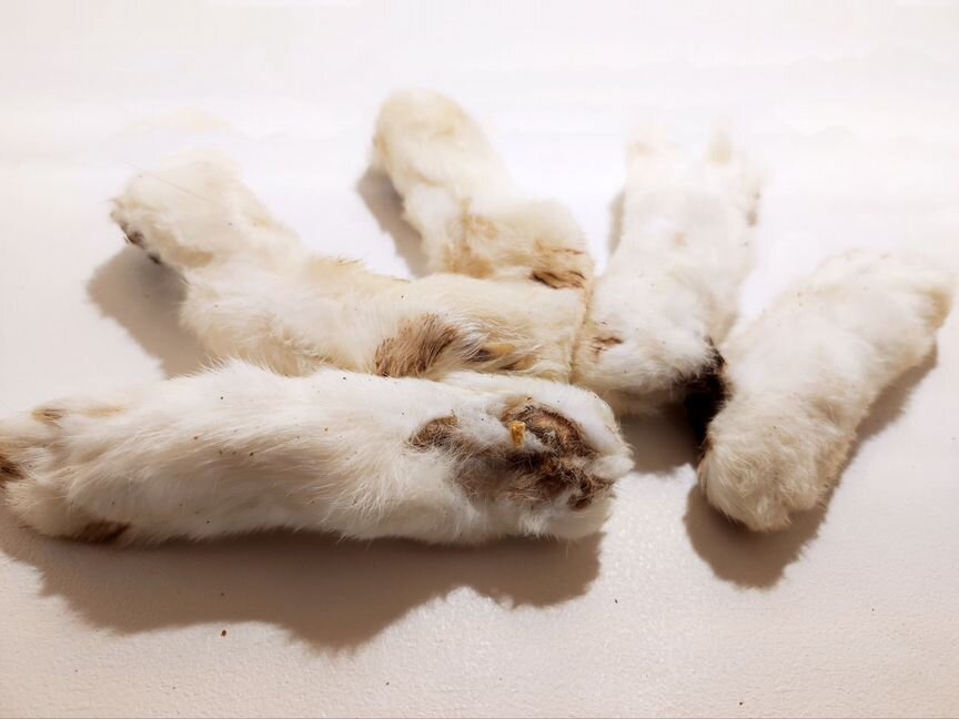 Лакомства для собак