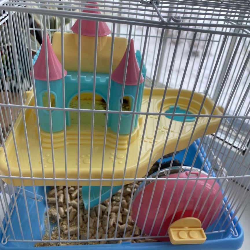 Клетка