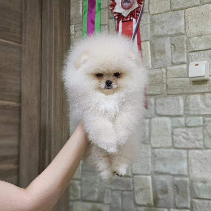 Мини мальчик айс крем