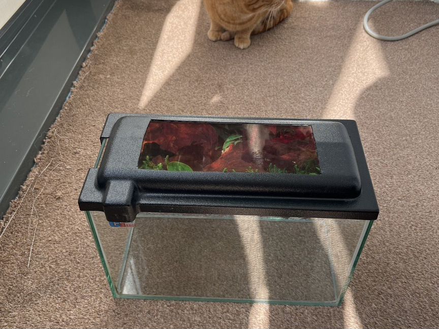 Аквариум 10 литров