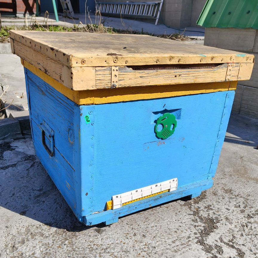 Улей для пчел дадан 12 рамок