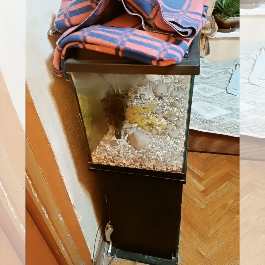 Аквариум с тумбой 100л