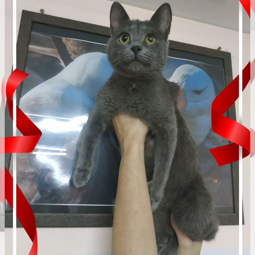 Милая малышка 11 месяцев в добрые руки