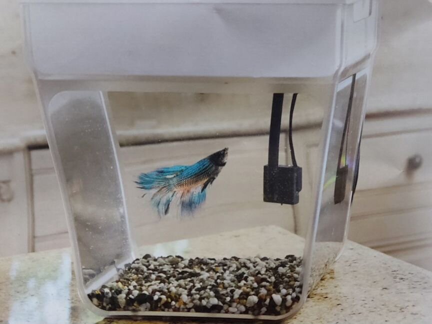 Акваферма новая