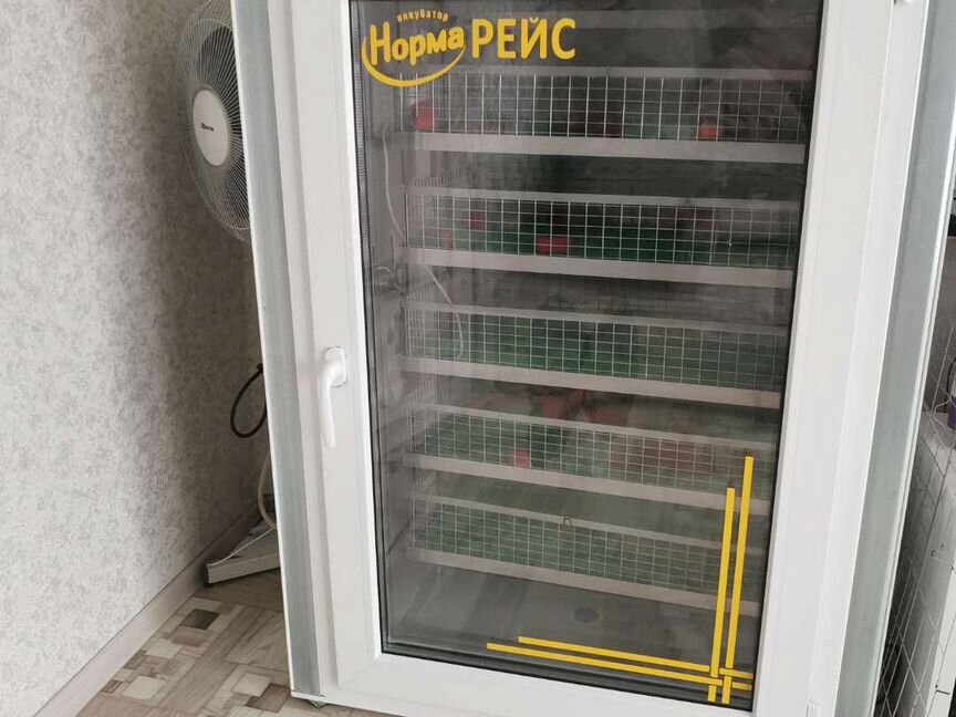 Инкубатор норма рейс на 625 яиц