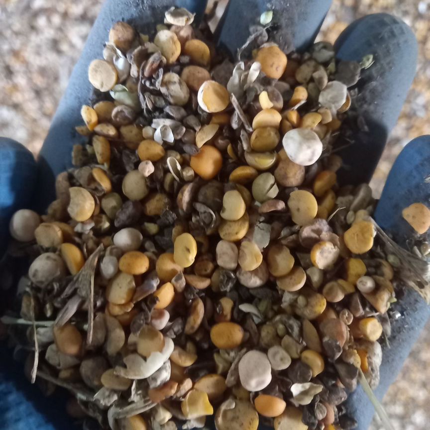 Гороховые отходы