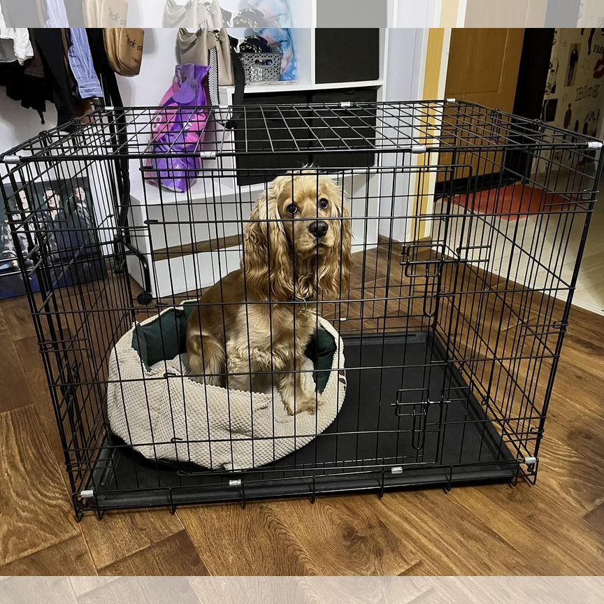 Клетка для животных бу