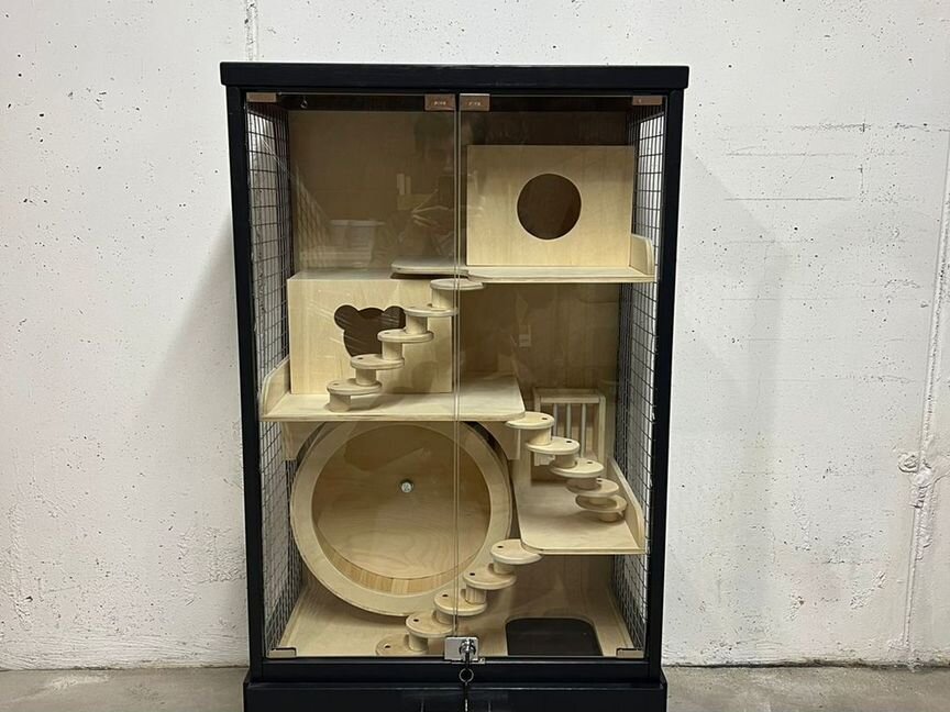 Клетка - витрина для шиншилл спб