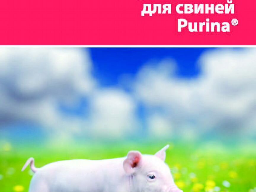 Премиксы и Бвмк Тм Пурина