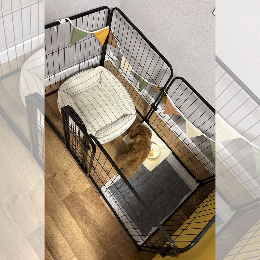 Вольер для собак в квартиру